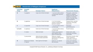 wala strep.pptx | Ear, Nose and Throat Conditions | Diseases and Conditions