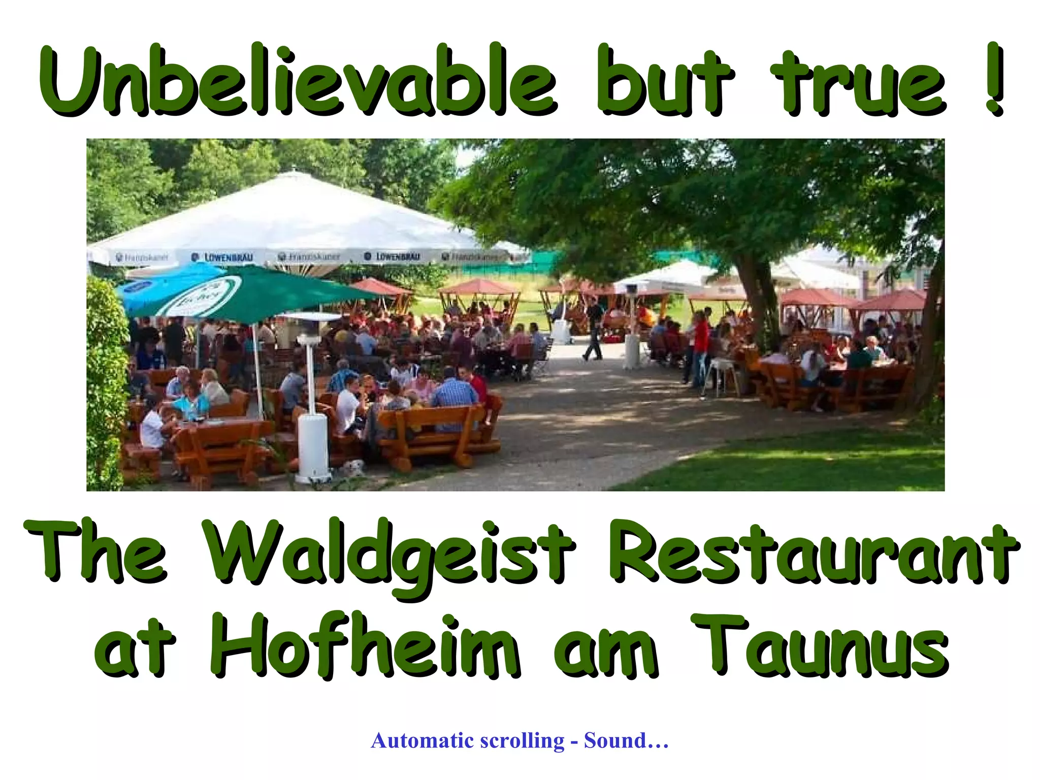 The Waldgeist Restaurant at Hofheim am Taunus Germany | ZIP