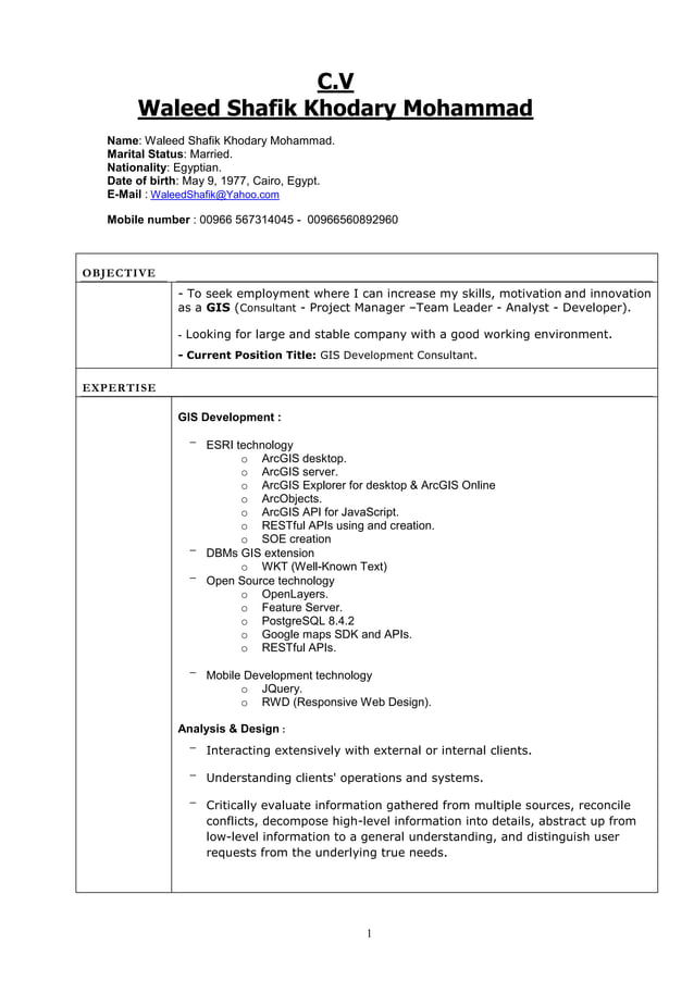 Waleed cv gis[17] | PDF