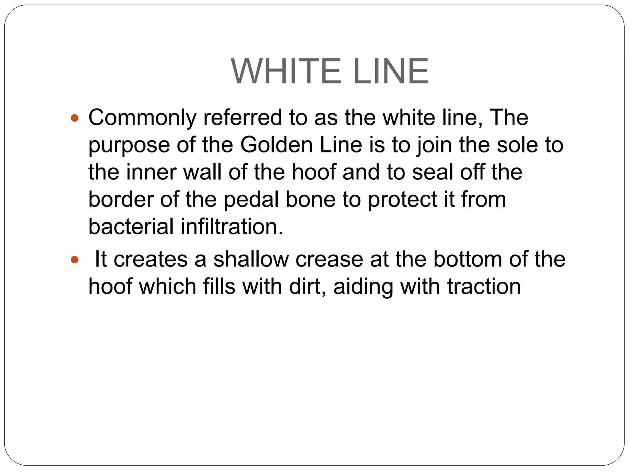 Anatomy of hoof | PPTX