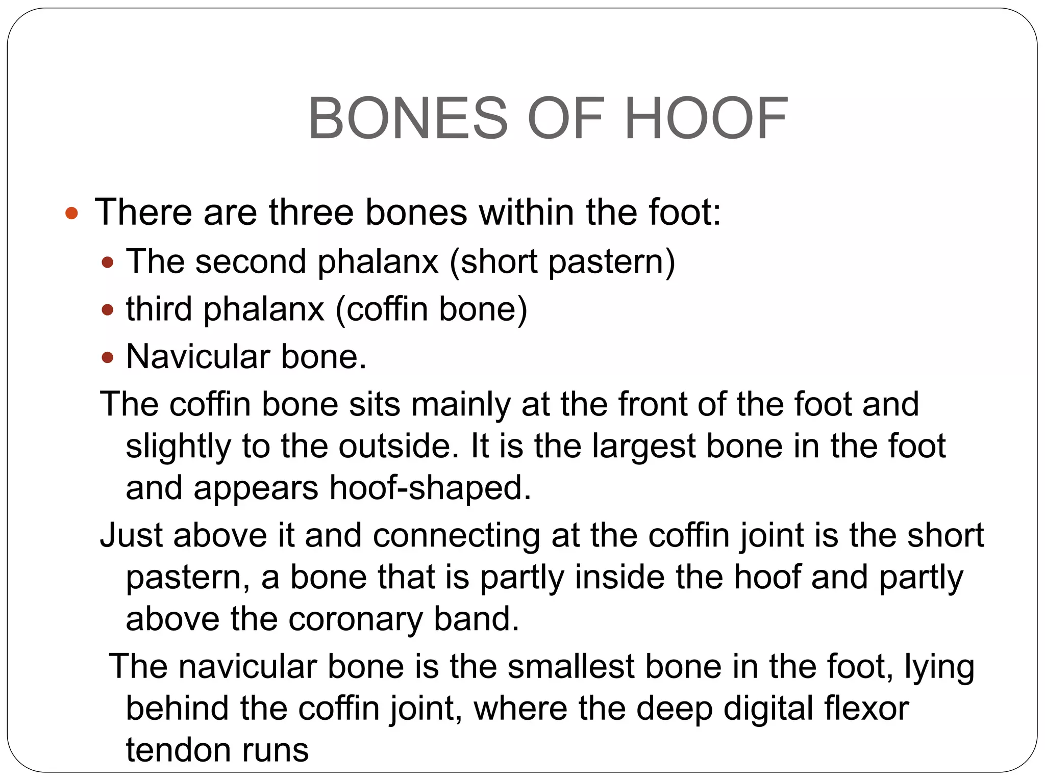 Anatomy of hoof | PPTX