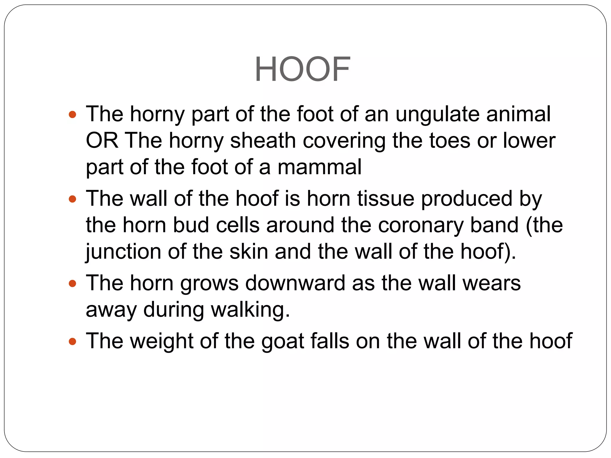 Anatomy of hoof | PPTX