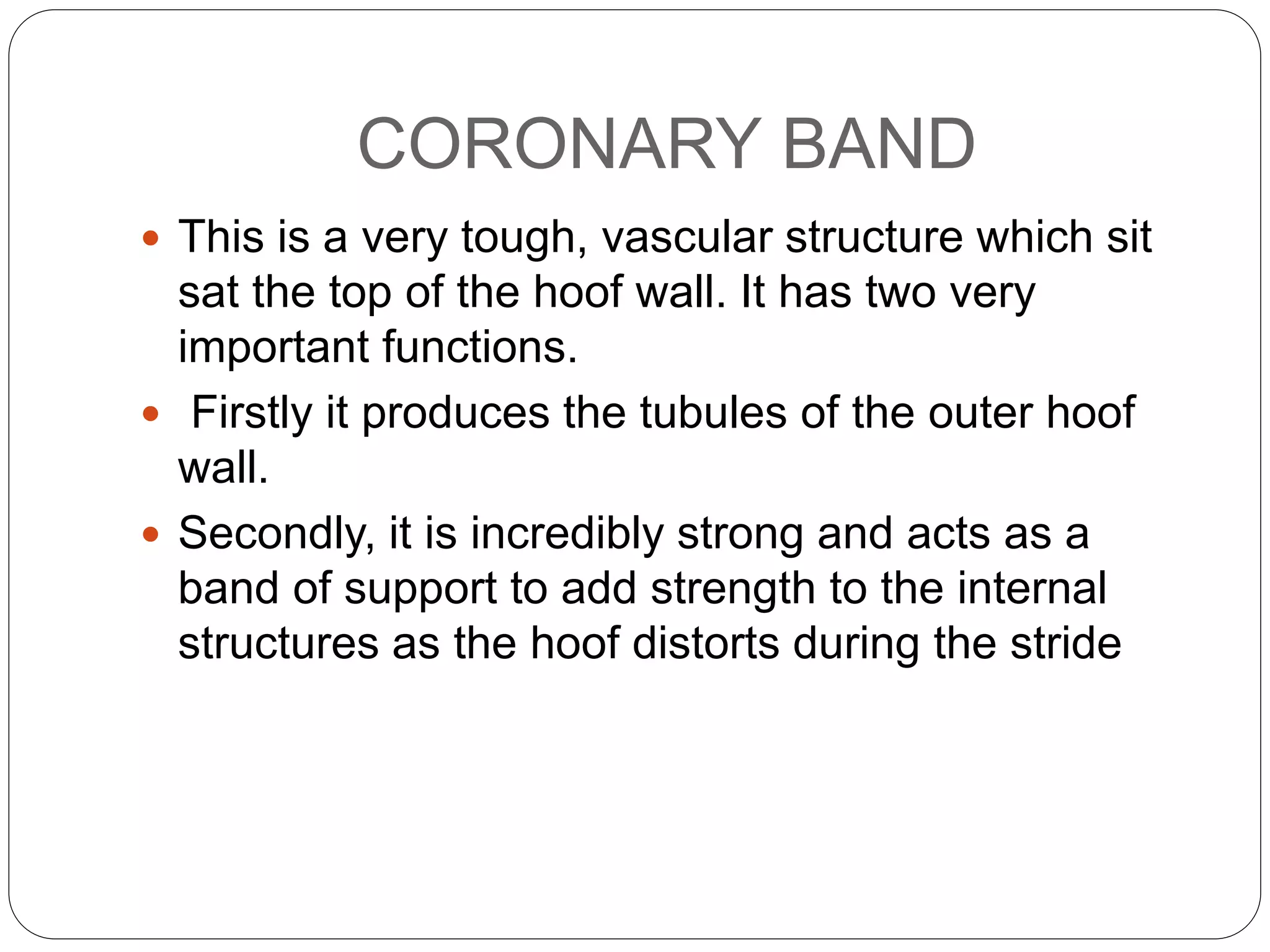 Anatomy of hoof | PPTX