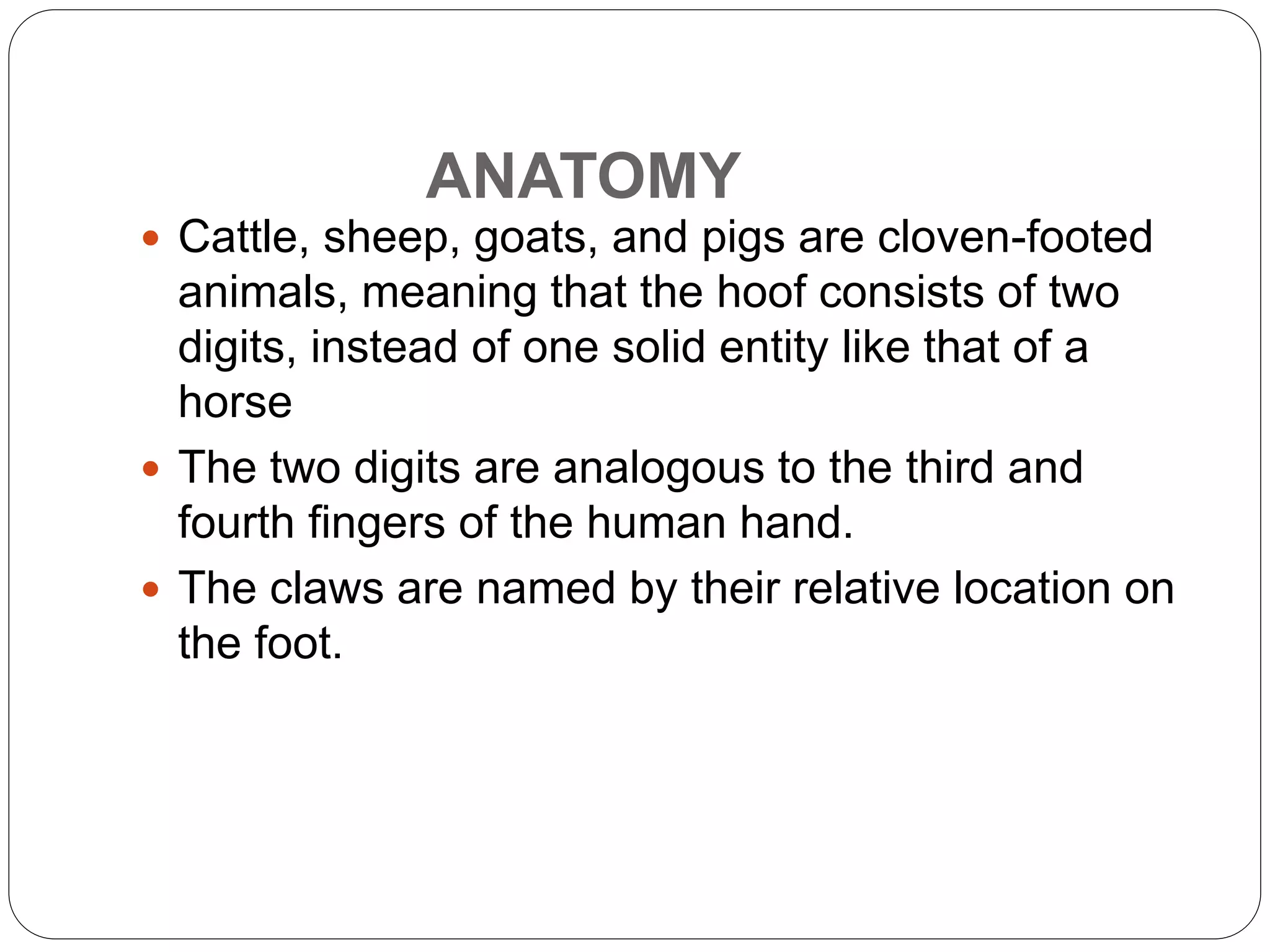 Anatomy of hoof | PPTX