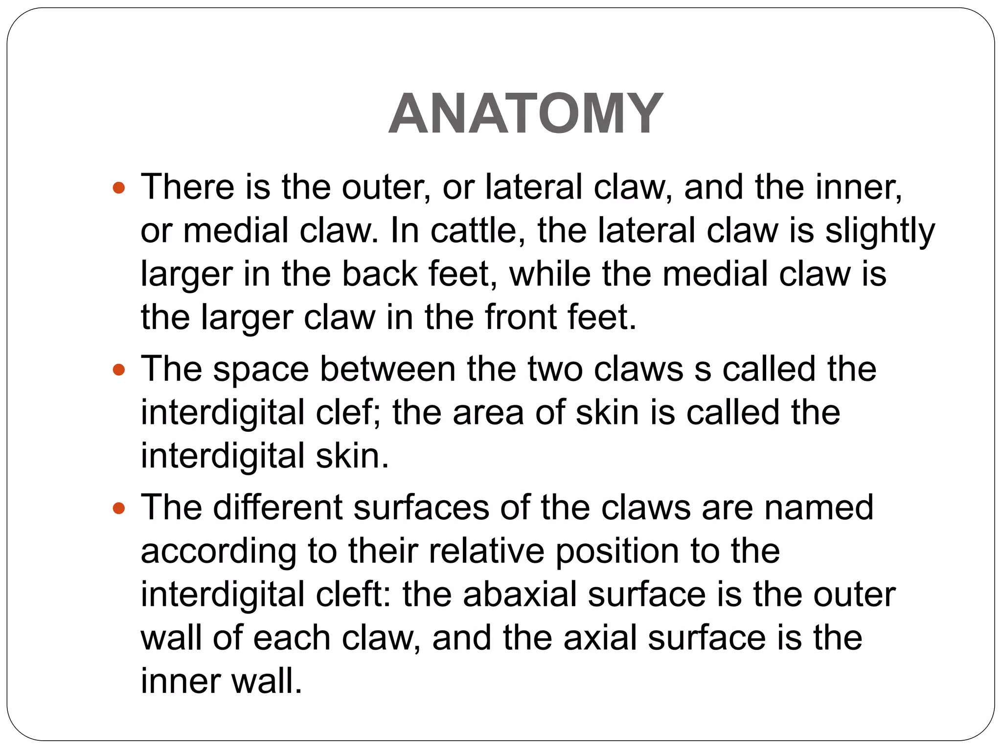 Anatomy of hoof | PPTX