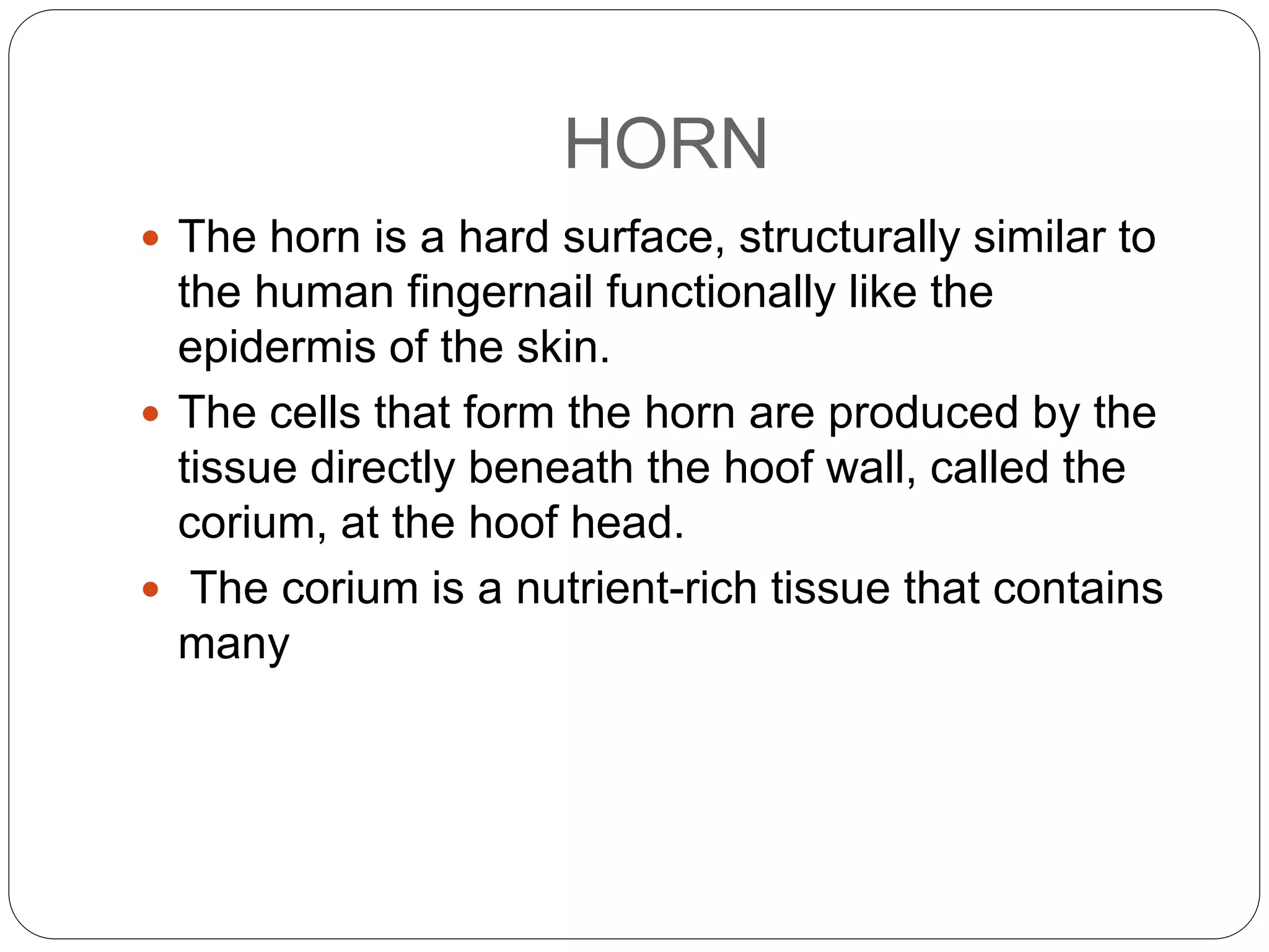Anatomy of hoof | PPTX