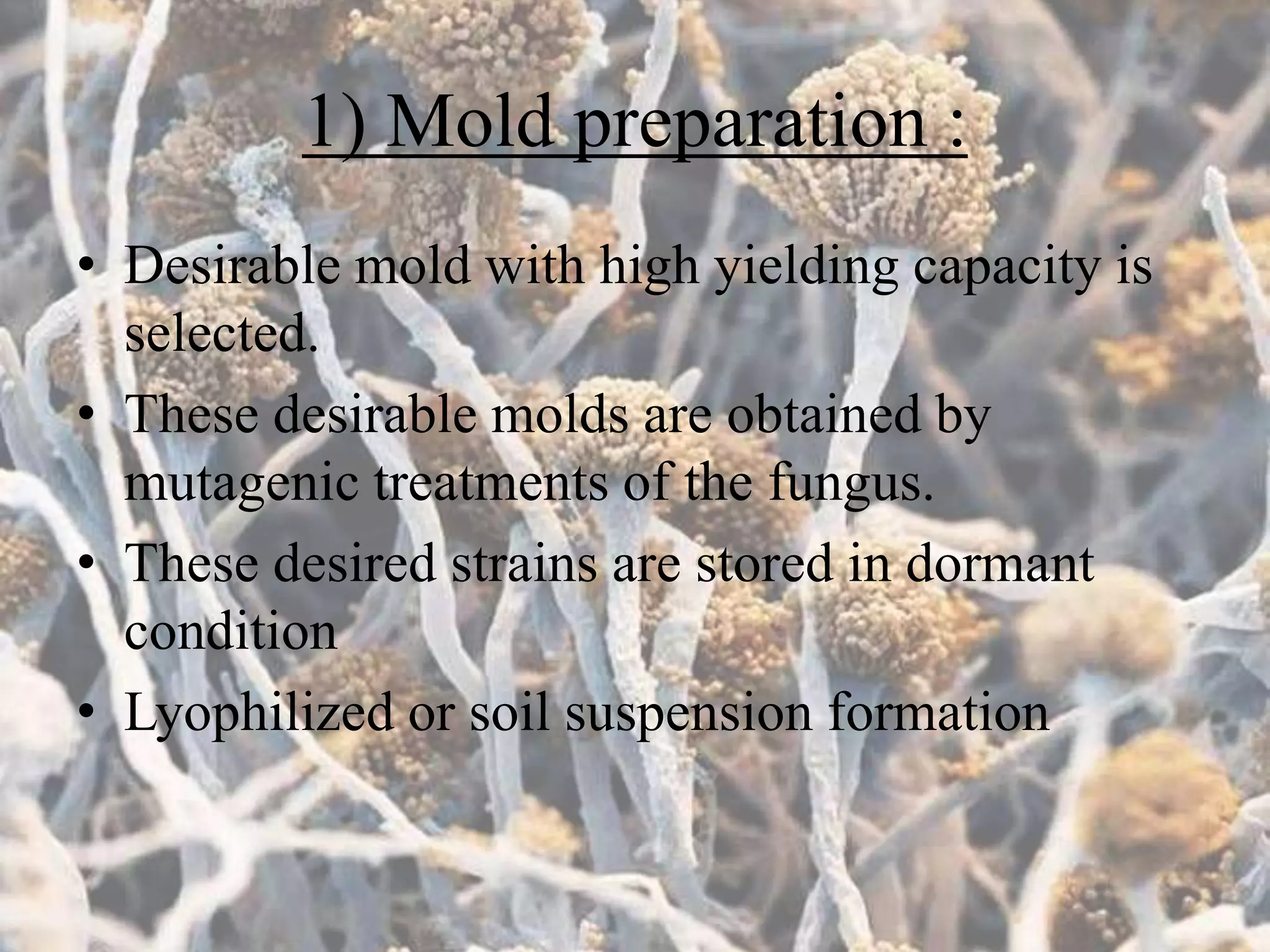 Penicillin Fermentation Process (Industrial production of Penicillin ...