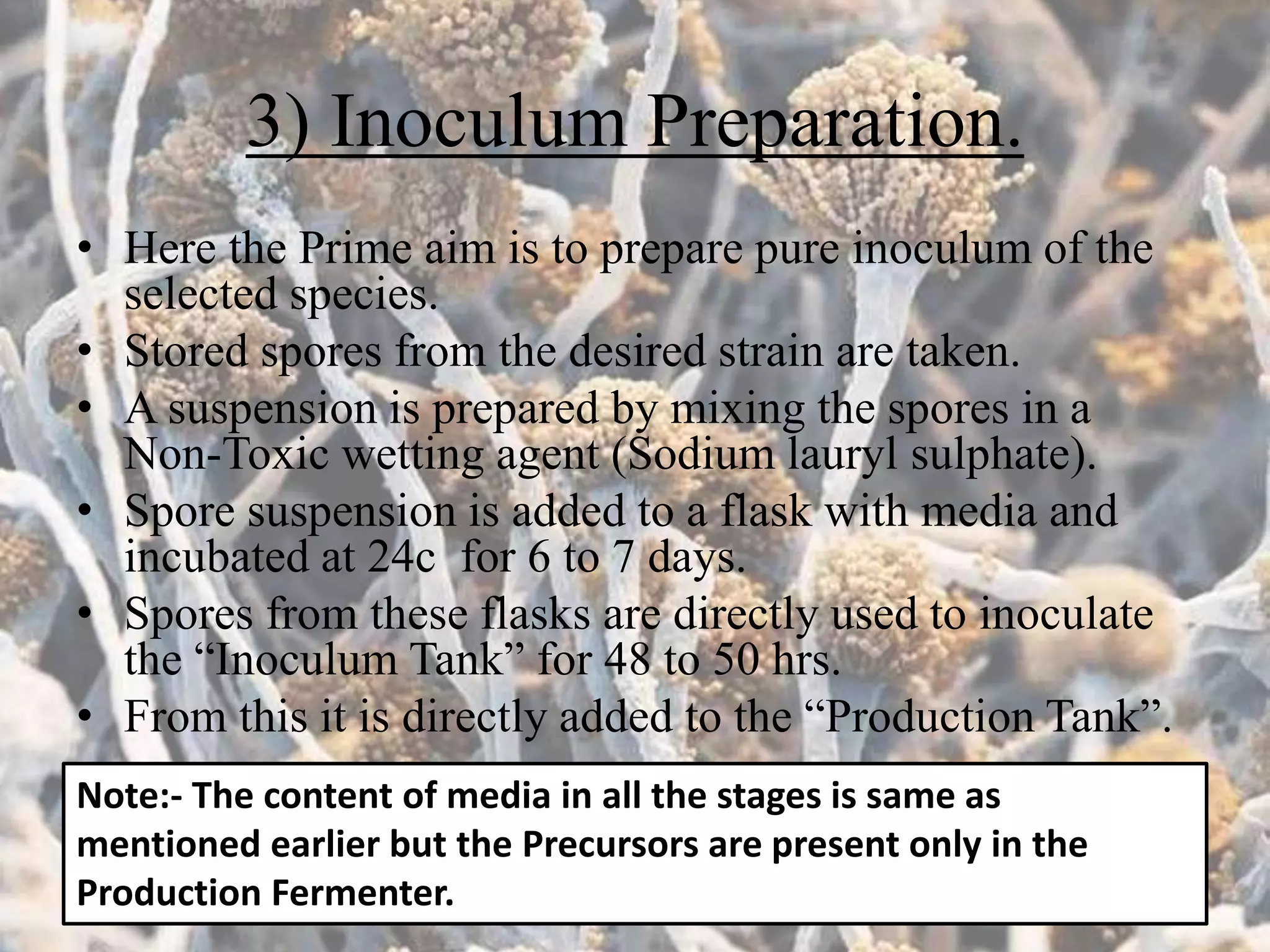 Penicillin Fermentation Process (Industrial production of Penicillin ...