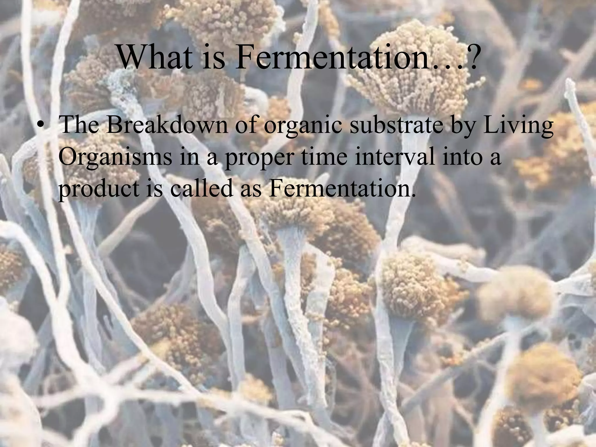 Penicillin Fermentation Process (Industrial production of Penicillin ...