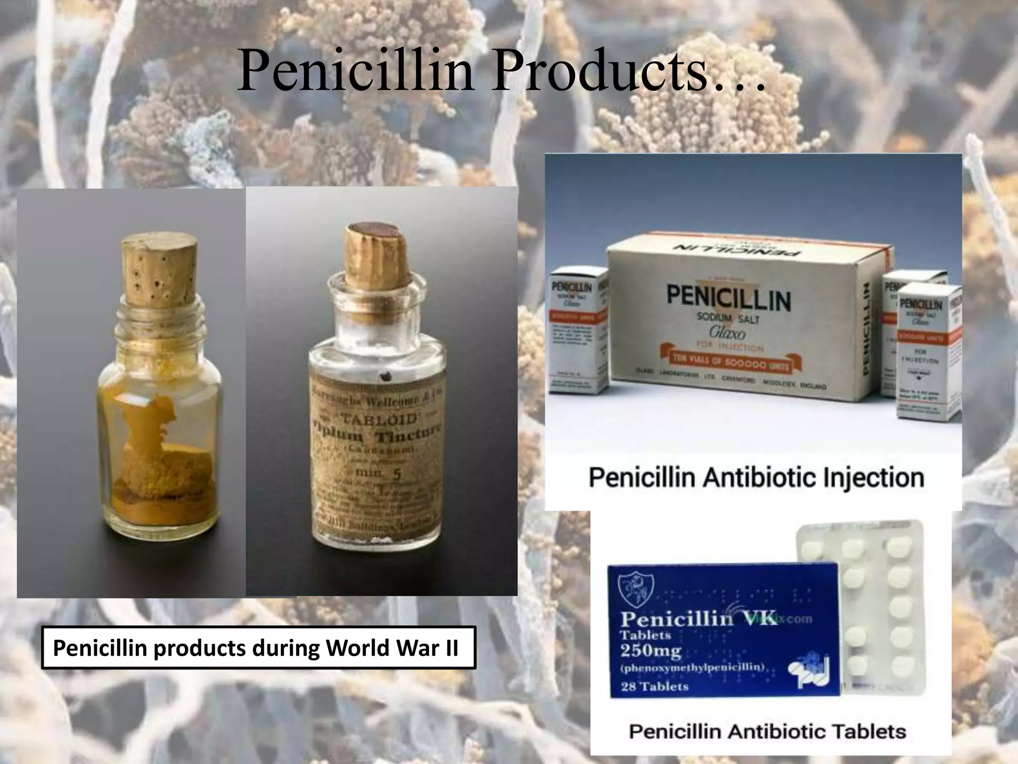 Penicillin Fermentation Process (Industrial production of Penicillin ...