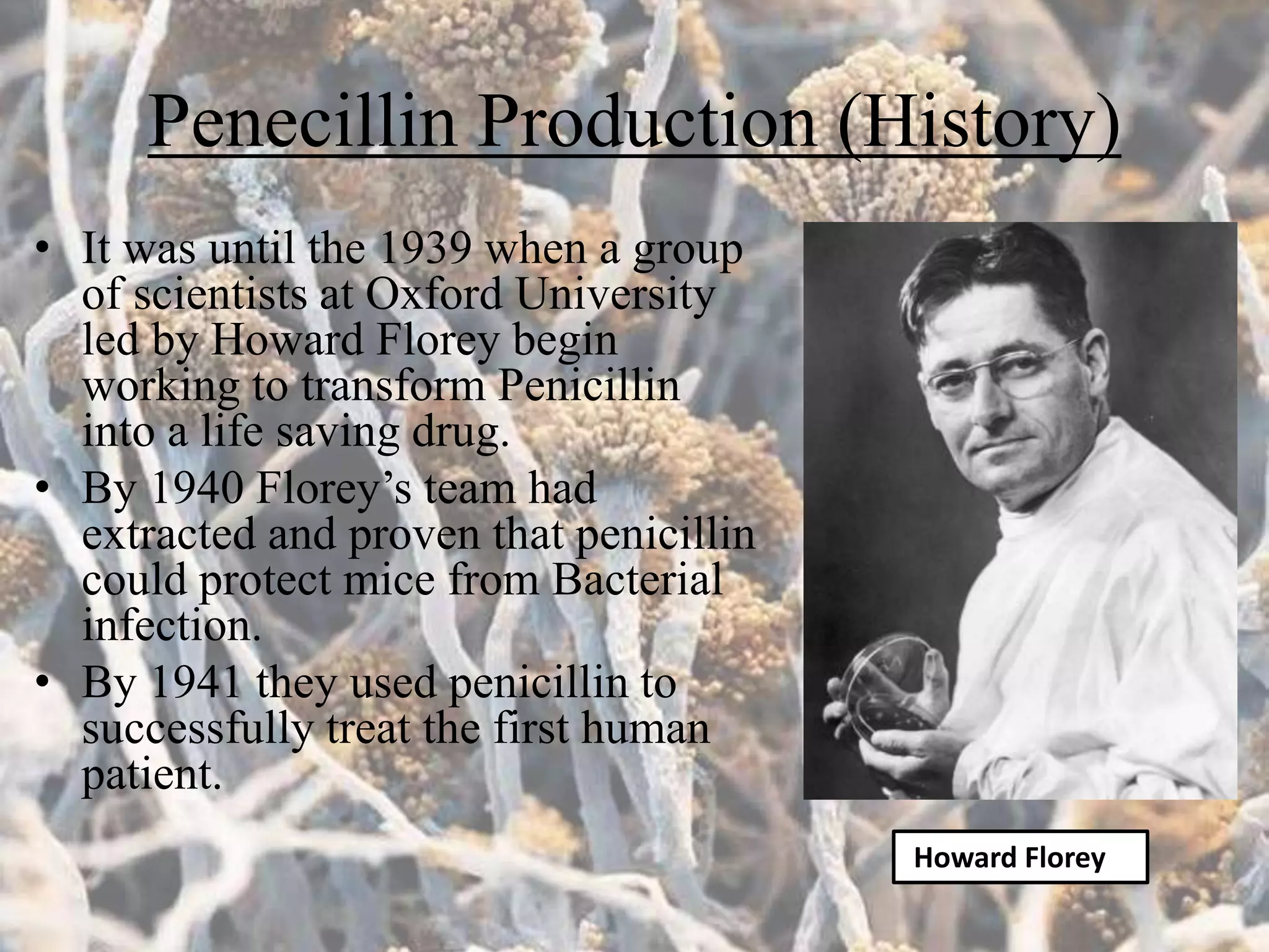 Penicillin Fermentation Process (Industrial production of Penicillin ...