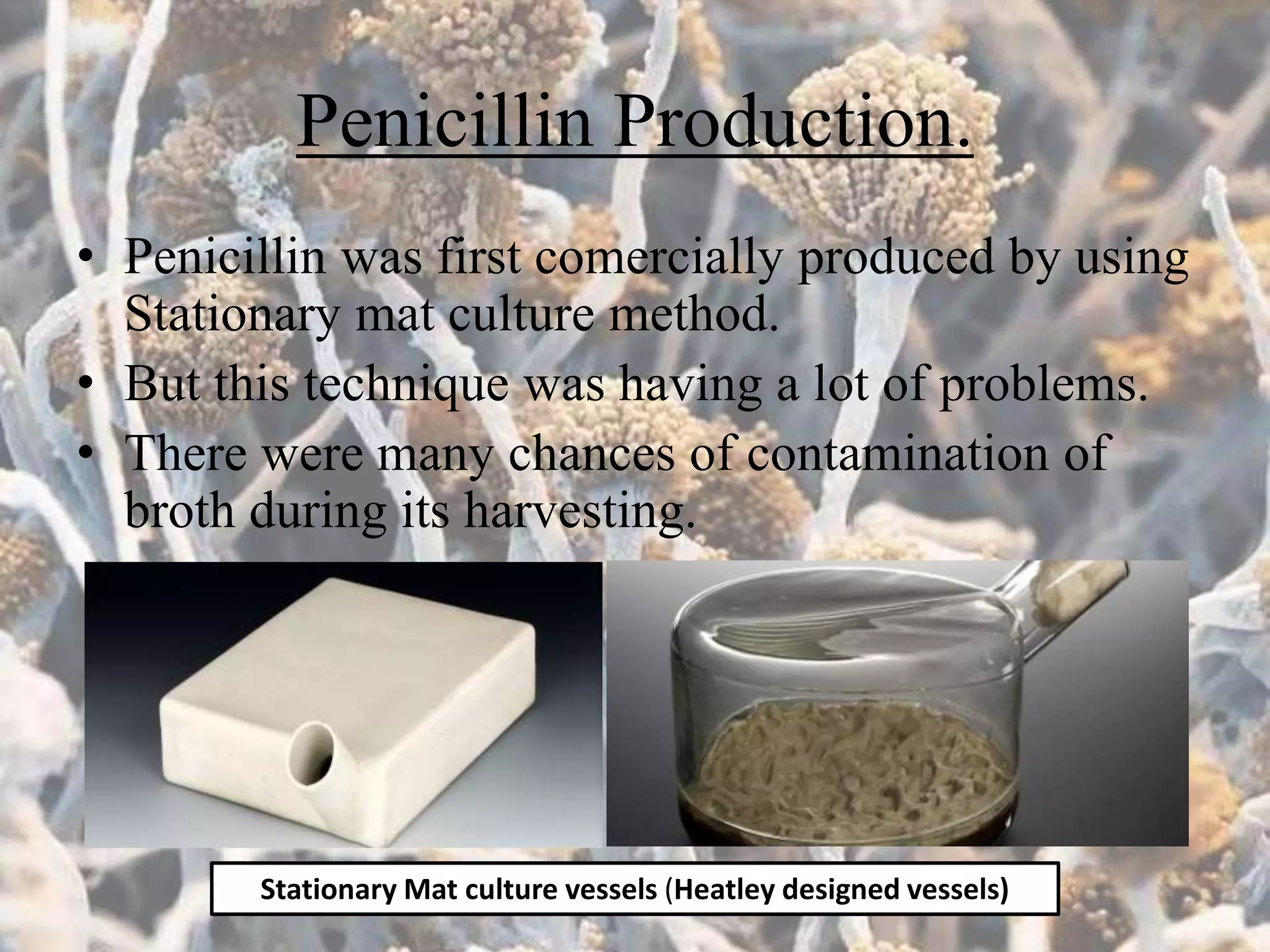 Penicillin Fermentation Process (Industrial production of Penicillin ...