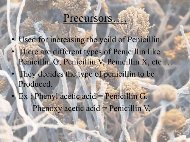 Penicillin Fermentation Process (Industrial production of Penicillin ...