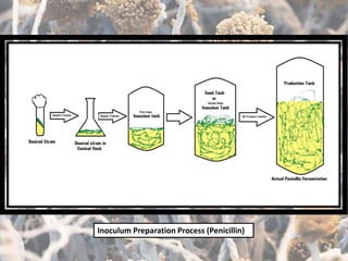 Penicillin Fermentation Process (Industrial production of Penicillin ...