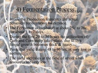 Penicillin Fermentation Process (Industrial production of Penicillin ...