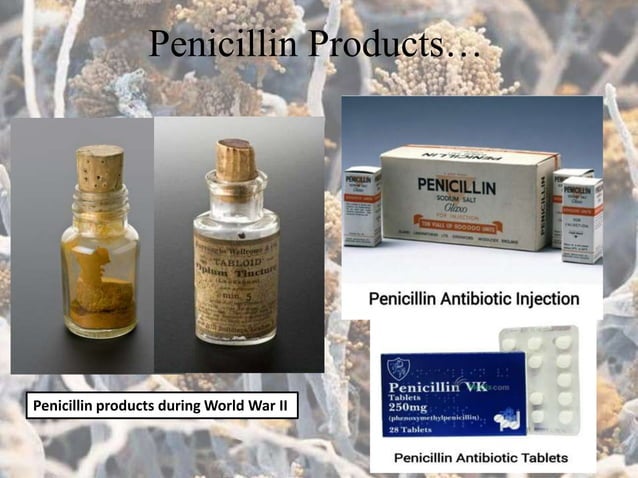 Penicillin Fermentation Process (Industrial production of Penicillin ...