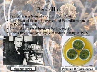 Penicillin Fermentation Process (Industrial production of Penicillin ...