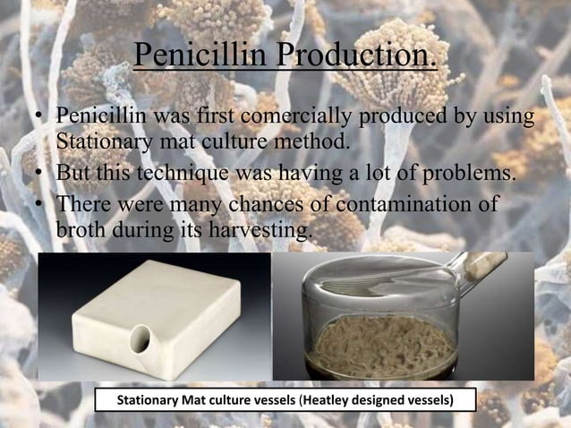 Penicillin Fermentation Process (Industrial production of Penicillin ...