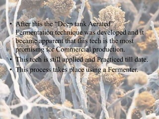 Penicillin Fermentation Process (Industrial production of Penicillin ...