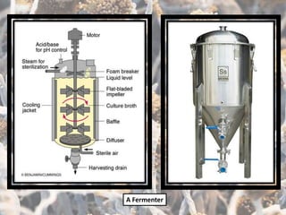 Penicillin Fermentation Process (Industrial production of Penicillin ...