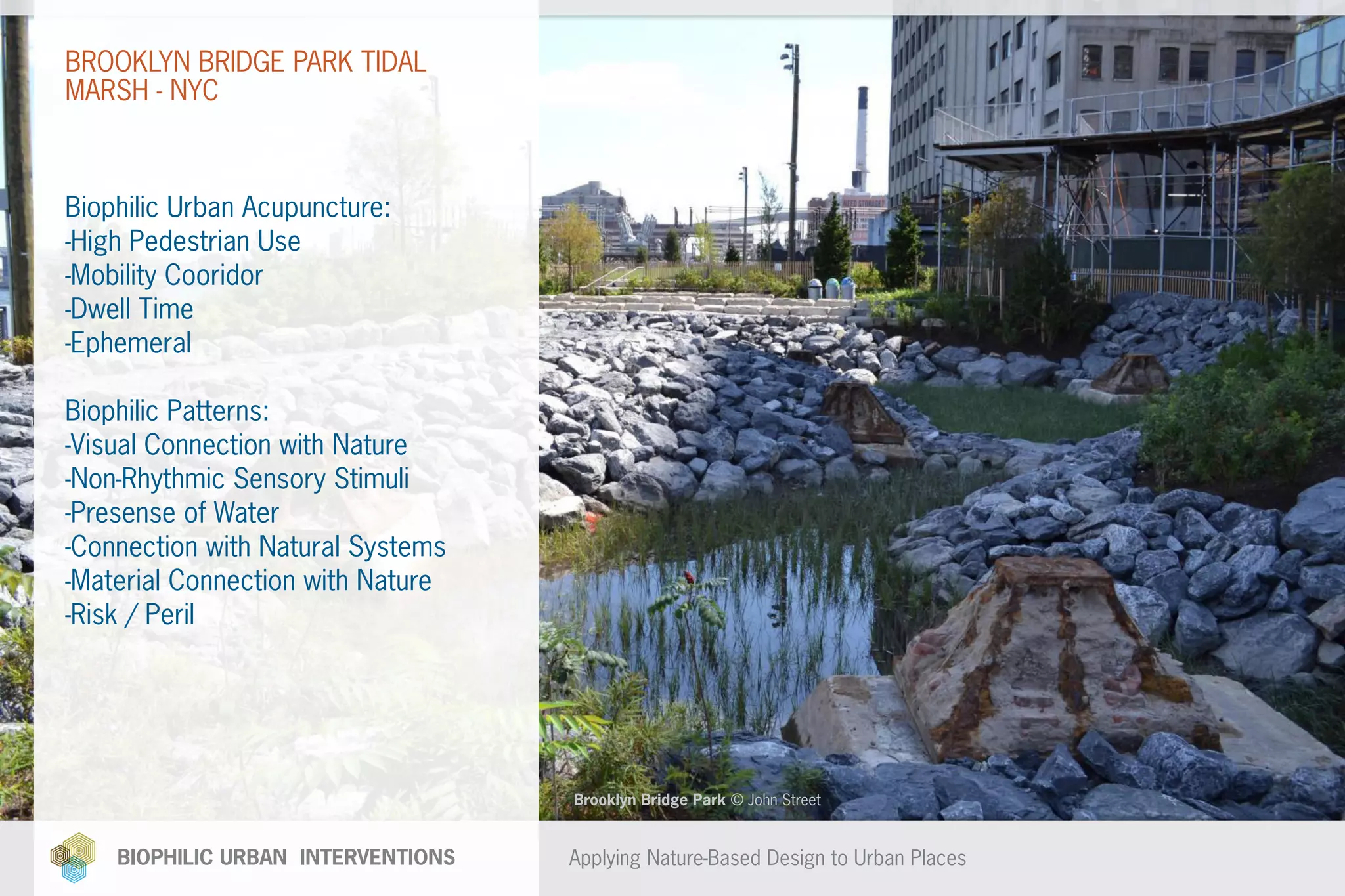 Biophilic Urban Interventions | PDF