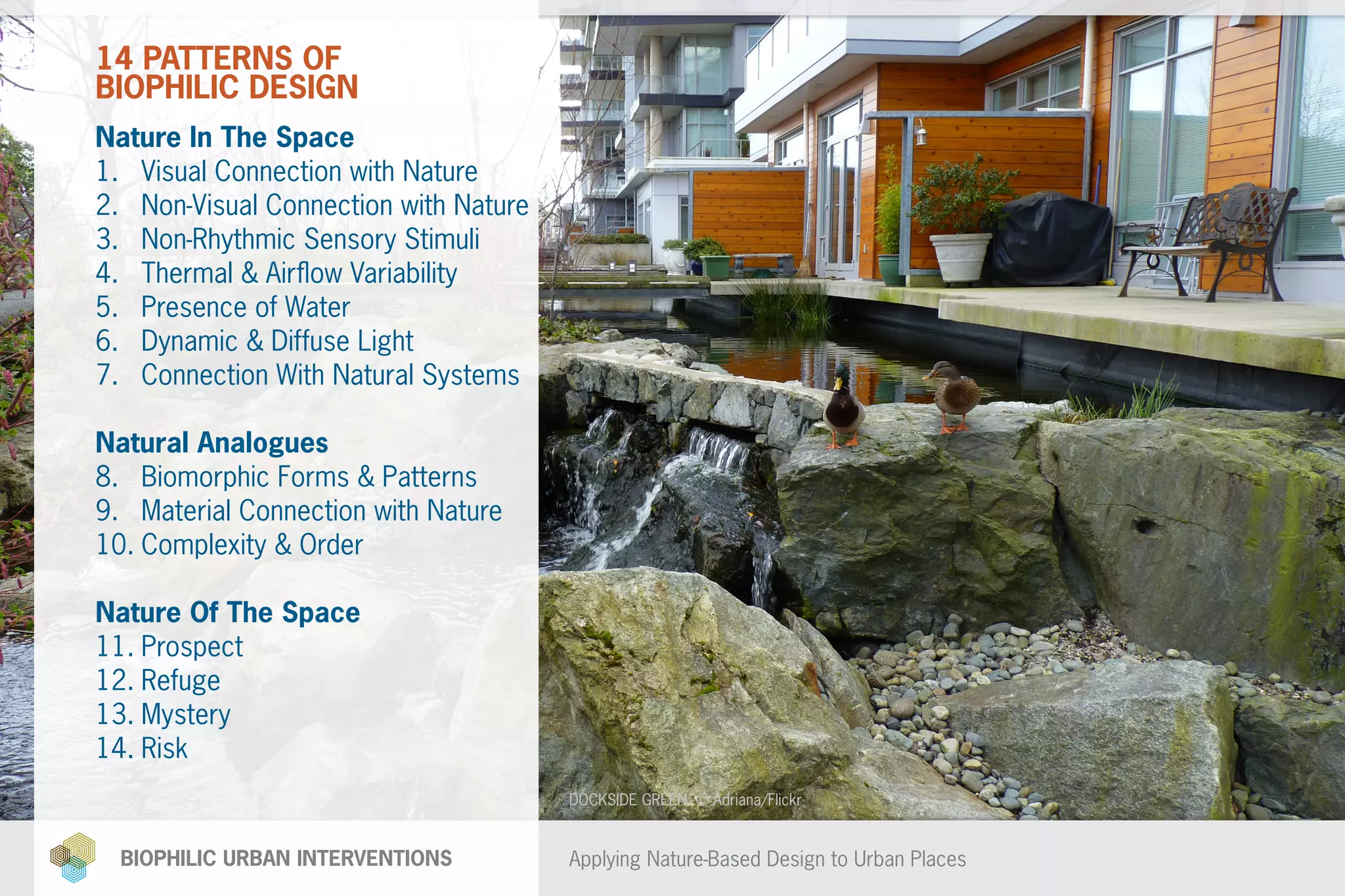 Biophilic Urban Interventions | PDF