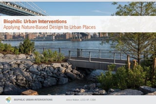Biophilic Urban Interventions | PDF