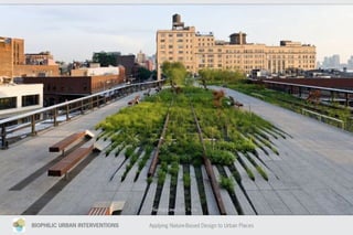 Biophilic Urban Interventions | PDF