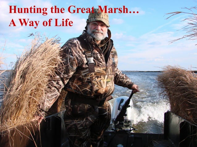 Traditional Uses of The Great Marsh, Geoff Walker, Selectman, Town of ...