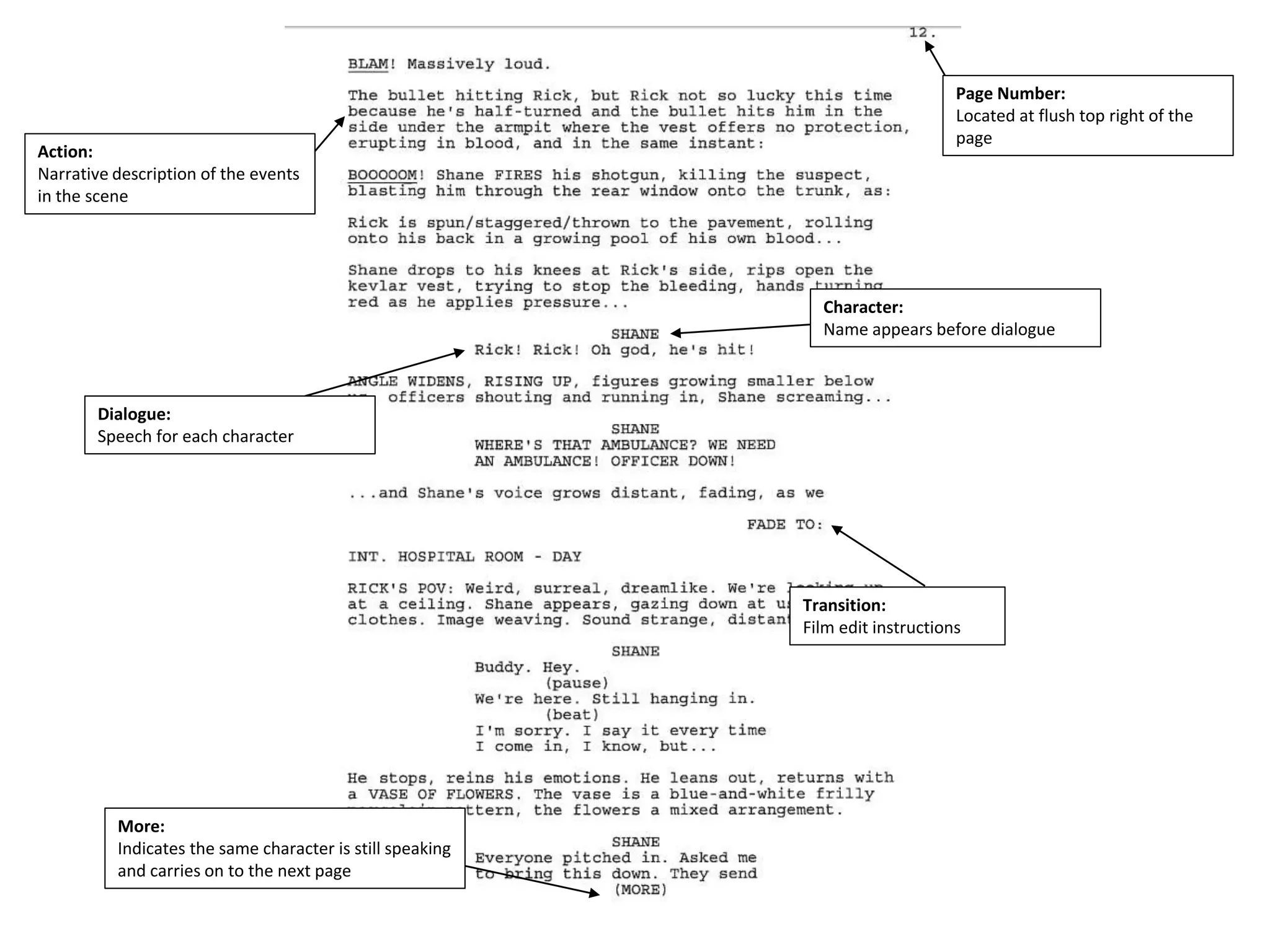 Walking dead Script Analysis | PPT