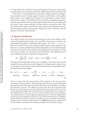 Walking On Water Biolocomotion At The Interface | PDF