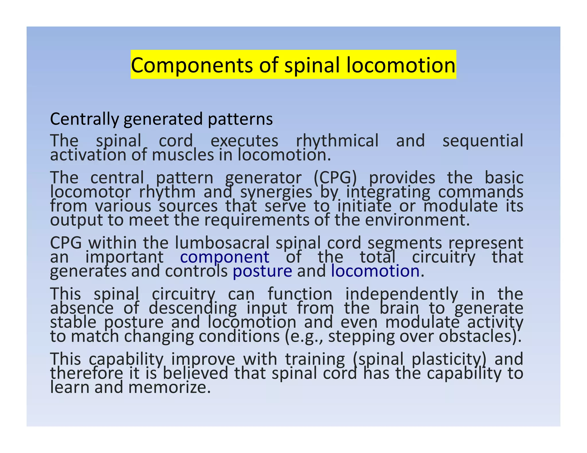 Walking project locomotor and the nervous system | PDF