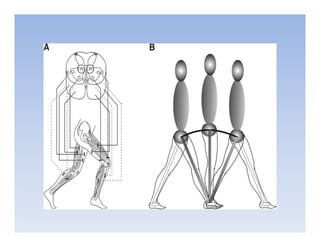 Walking project locomotor and the nervous system | PDF