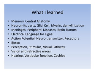 Walking project locomotor and the nervous system | PDF | Brain and ...