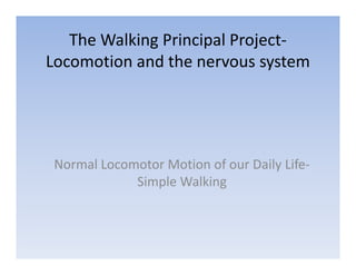 Walking project locomotor and the nervous system | PDF | Brain and Nervous System Disorders ...