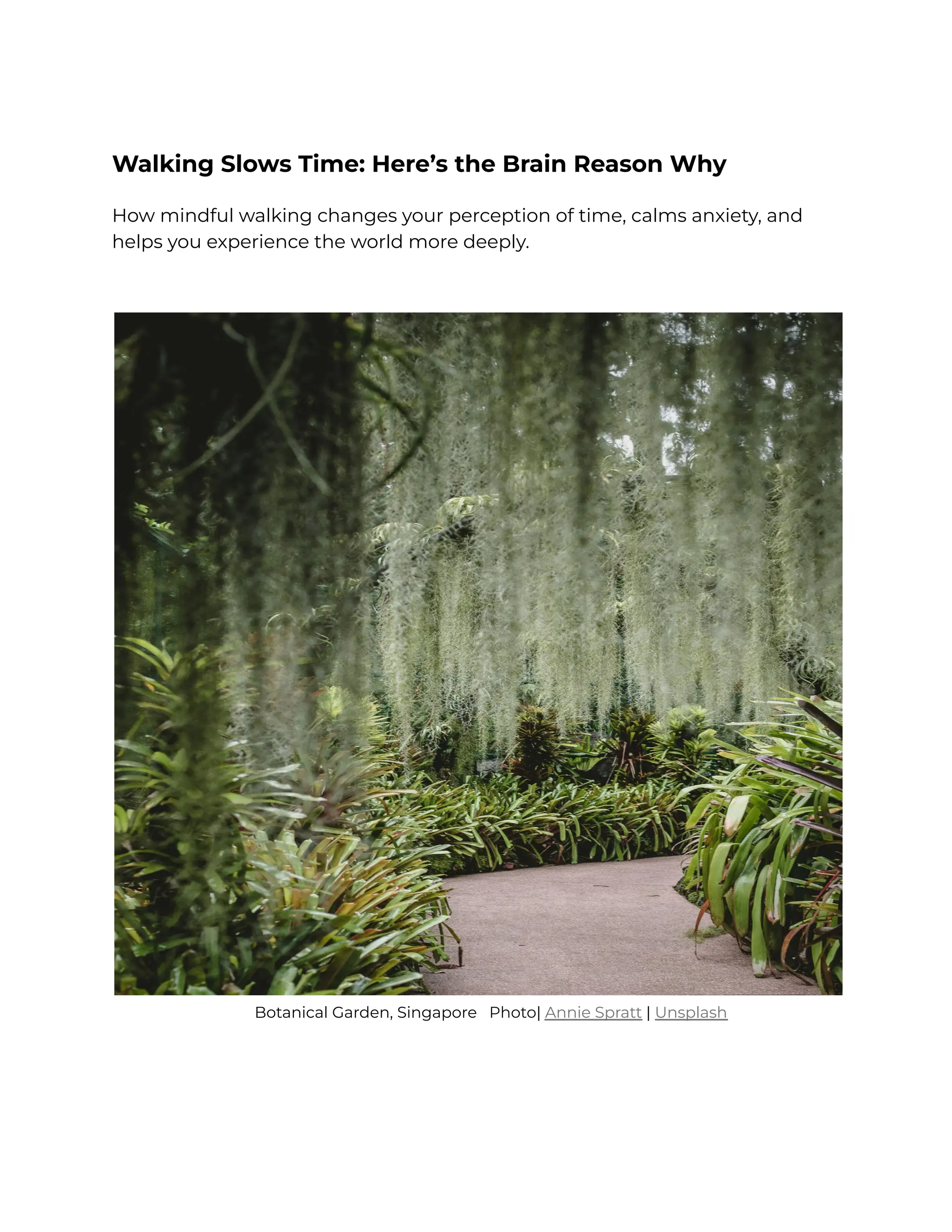Walking Slows Time: Here’s the Brain Reason Why | PDF