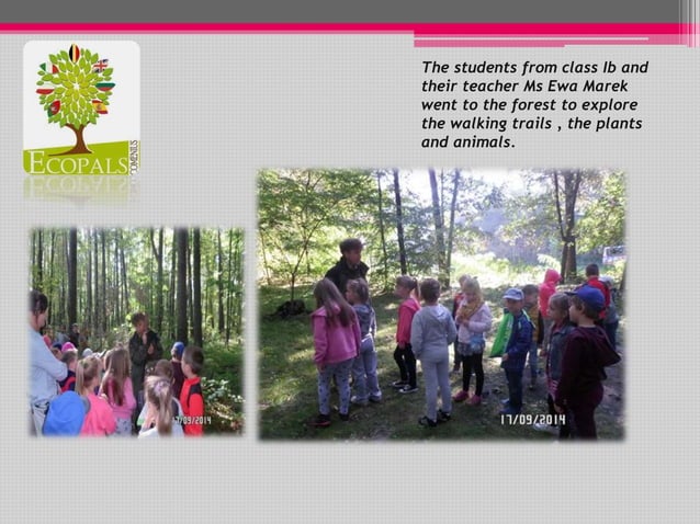 Walking trails -ECO PALS COMENIUS | PPTX | Outdoor Attractions | Attractions
