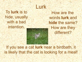 Walk in the desert vocabulary share | PPT