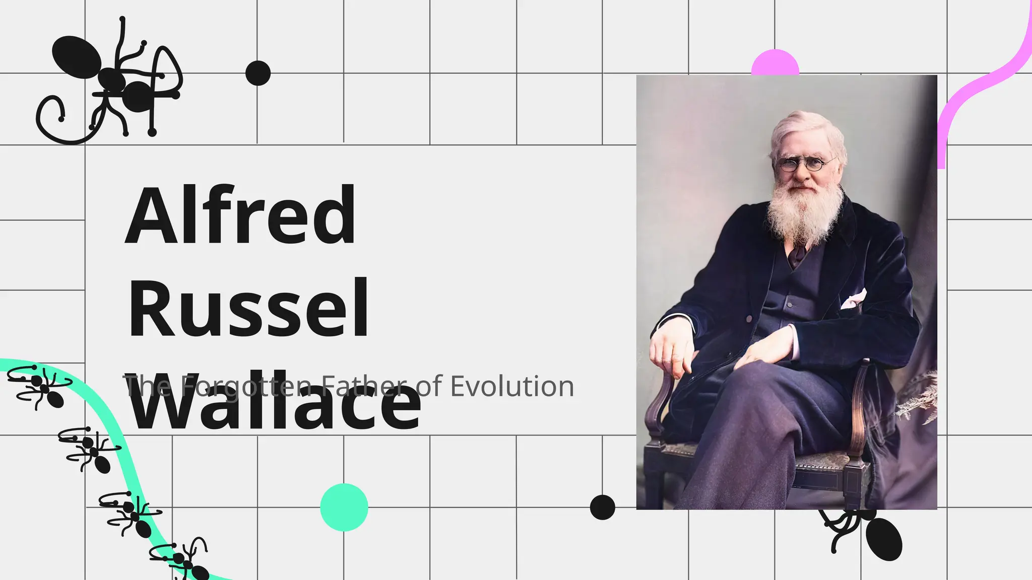 Alfred Wallace's Biogeographical Regions | PPTX