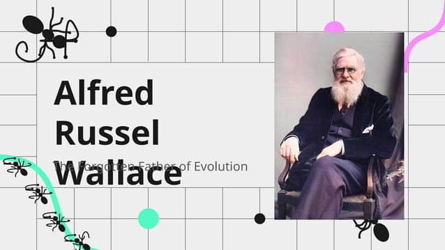 Alfred Wallace's Biogeographical Regions | PPTX