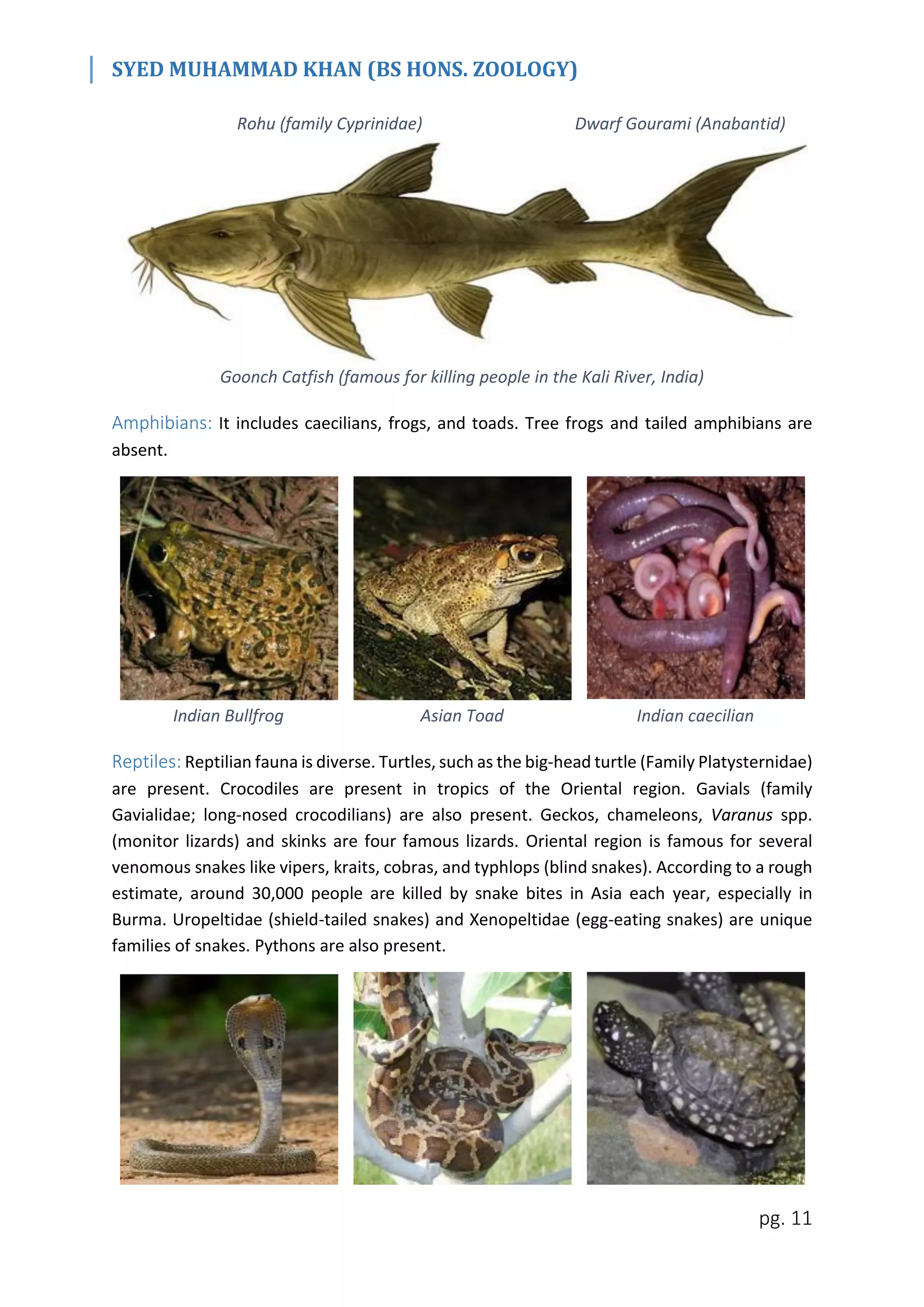 Wallace's Zoogeographical Realms | PDF