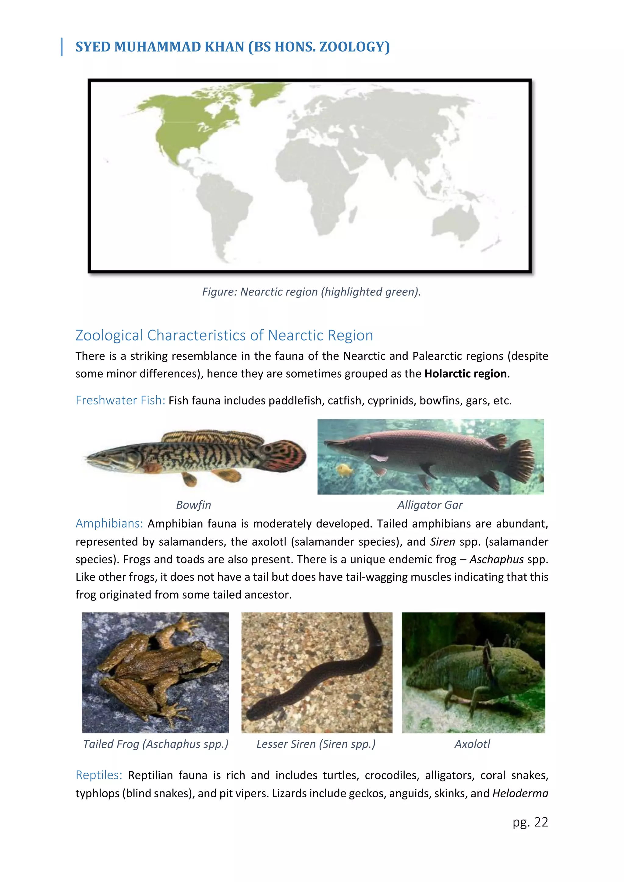 Wallace's Zoogeographical Realms | PDF