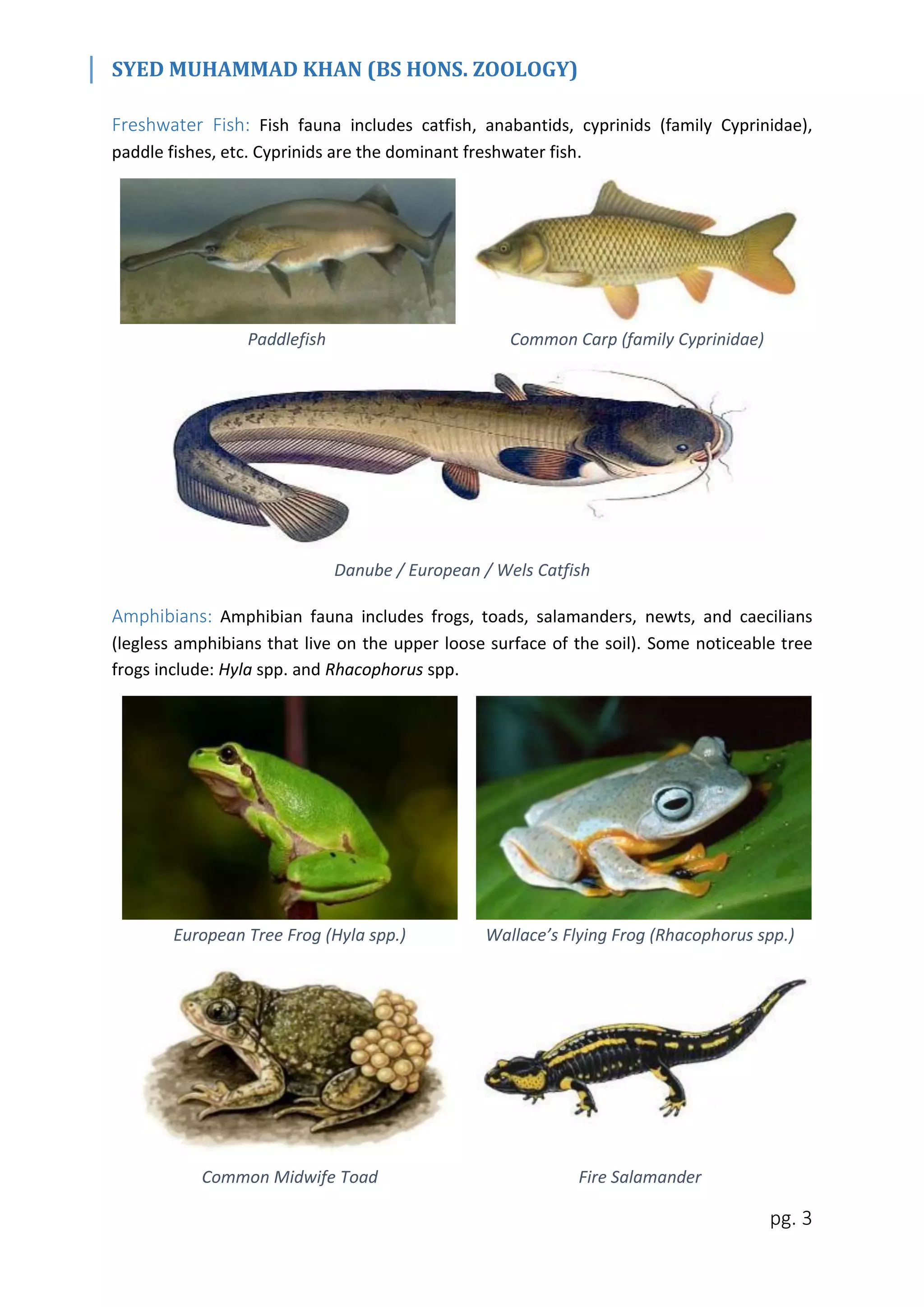 Wallace's Zoogeographical Realms | PDF | Africa Travel | Travel Locations