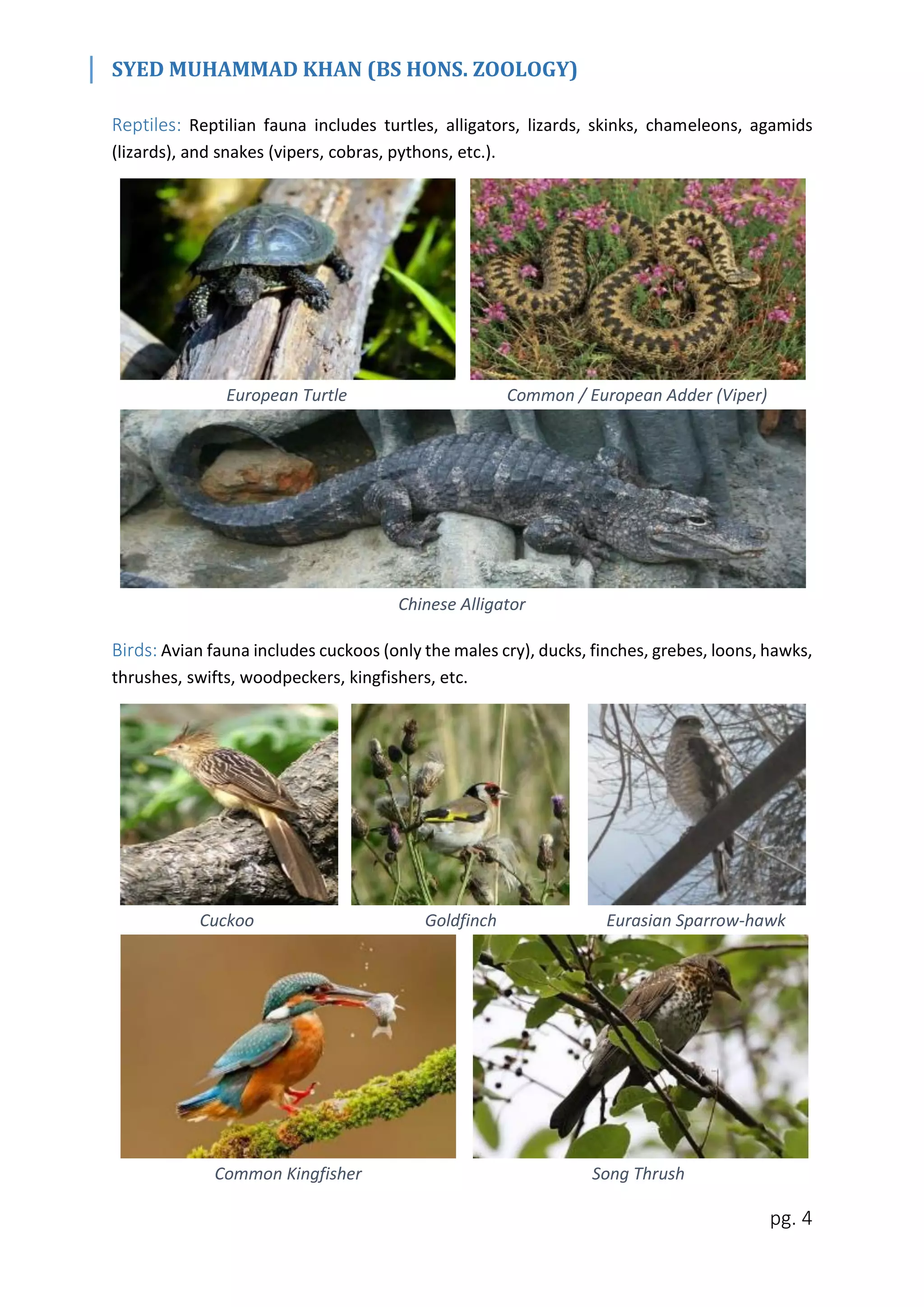 Wallace's Zoogeographical Realms | PDF