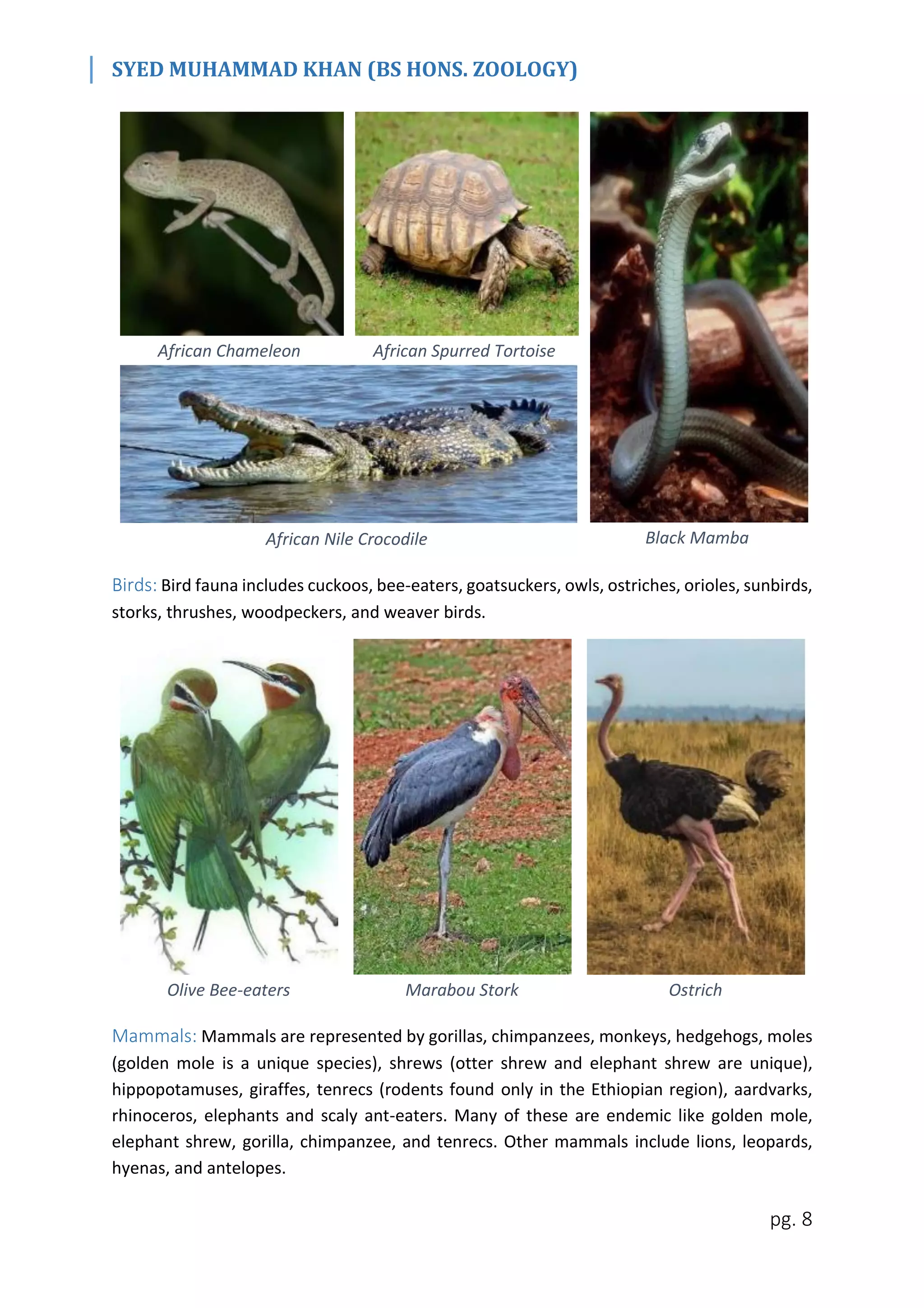Wallace's Zoogeographical Realms | PDF