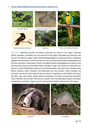 Wallace's Zoogeographical Realms | PDF