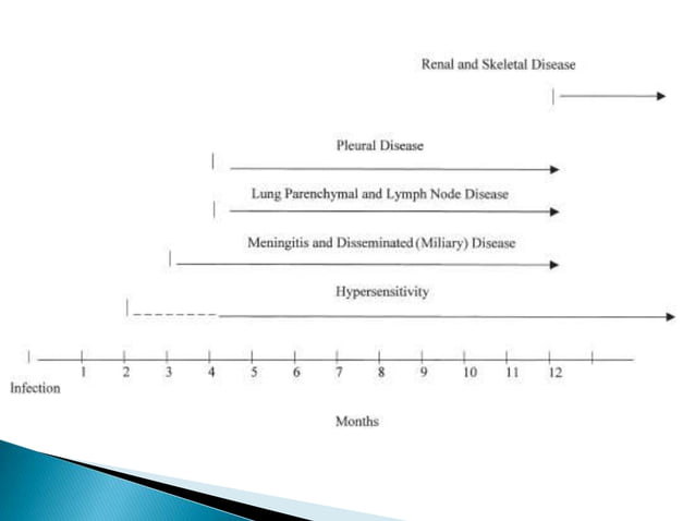 Wallgren timetable of primary tb | PPTX | Infectious Diseases ...