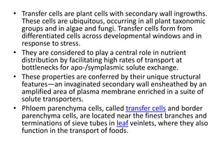 Wall ingrowths and transfer cells | PPTX