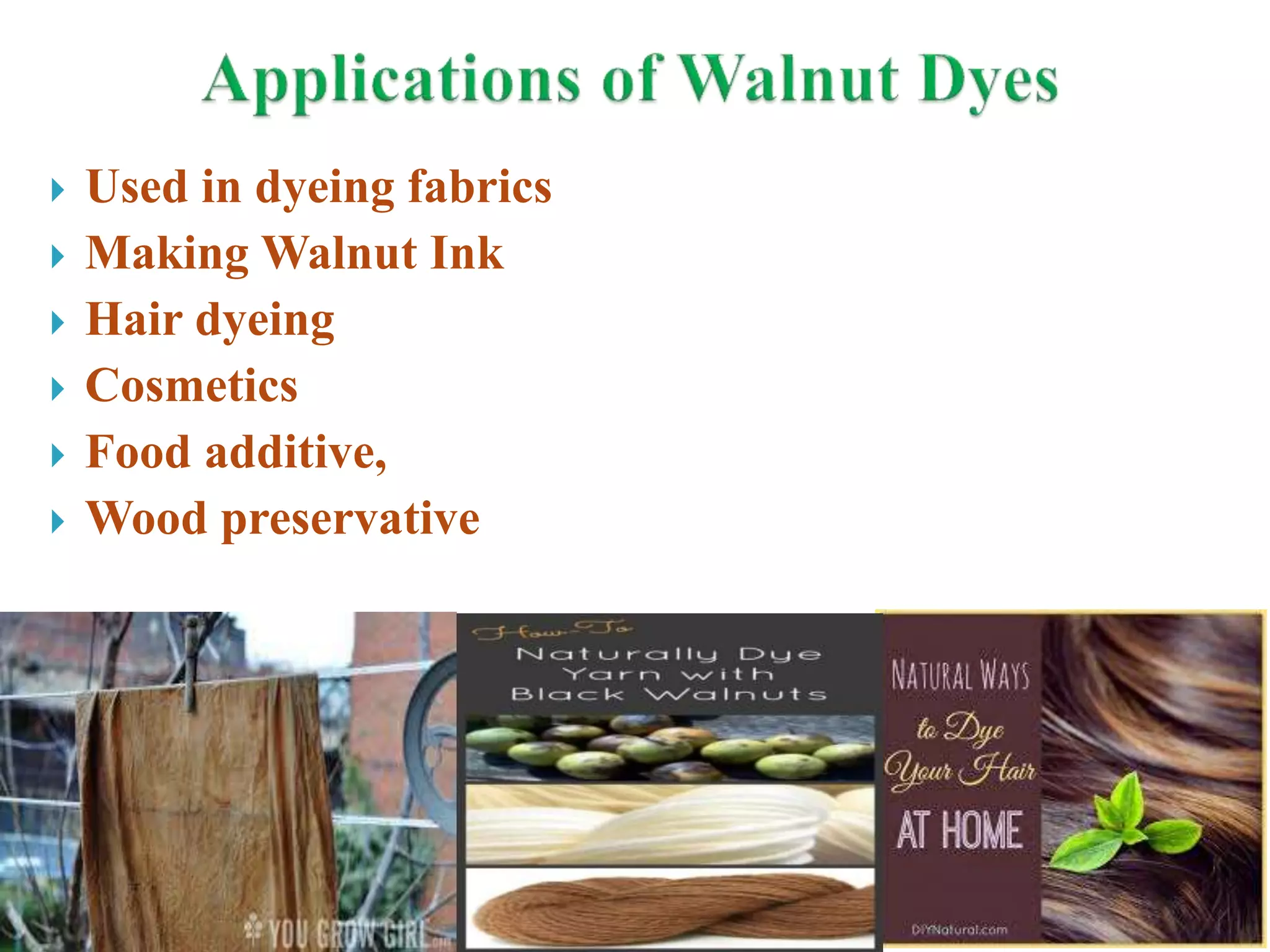 Wallnut Plant as a source of Natural dye | PPT