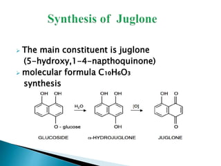 Wallnut Plant as a source of Natural dye | PPT